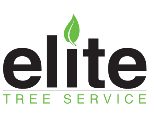 Elite Tree Service | Where Expertise Meets Excellence!